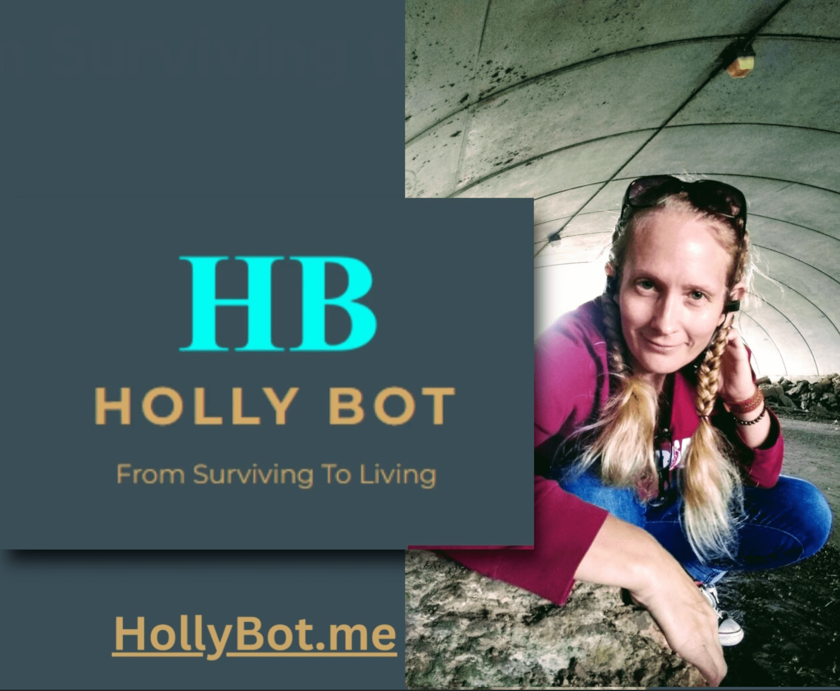 SURPRISED BY JOY - Holly Bot - From Surviving to Living